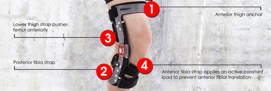 Lower limb support RAPTOR BIONIC | Reh4Mat – lower limb orthosis and ...